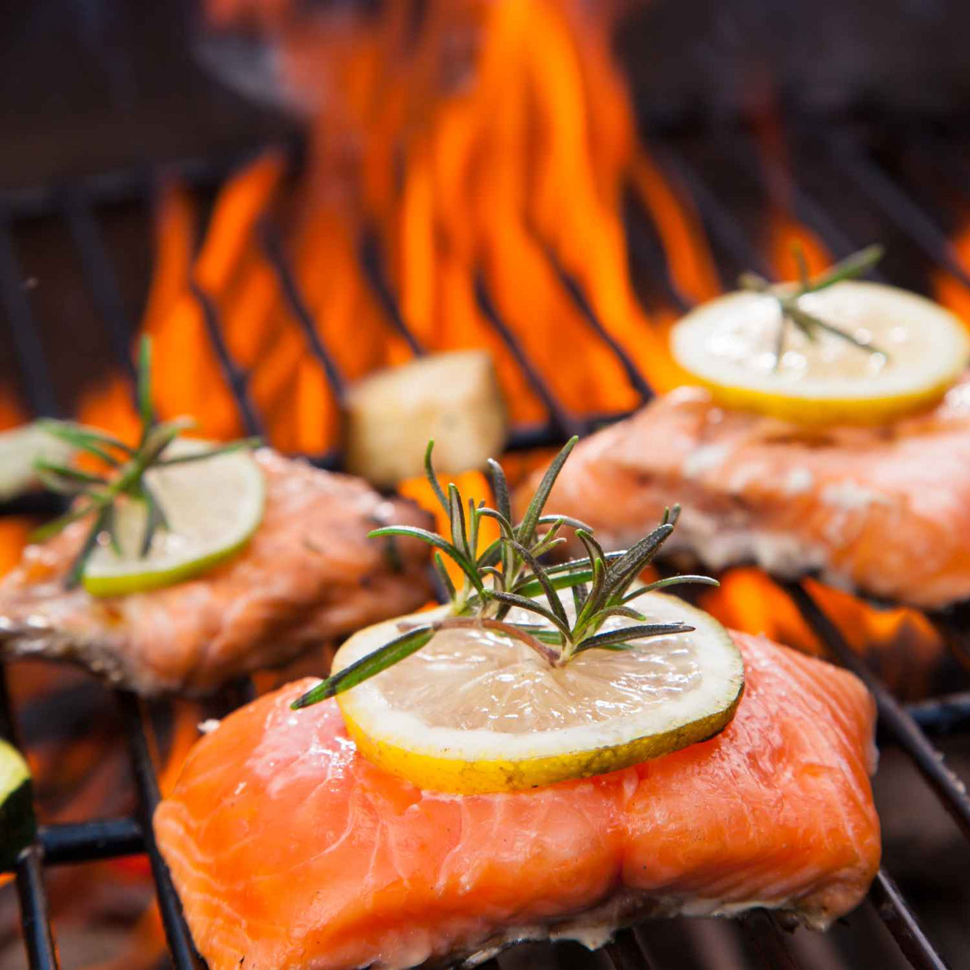 Best Seafood for Grilling - Meatking.hk